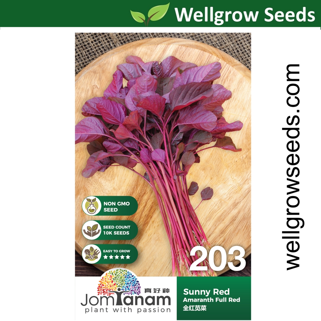 Amaranth Full Red Sunny Red (10K seeds) 全红苋菜 Jom Tanam by Crop Power ...