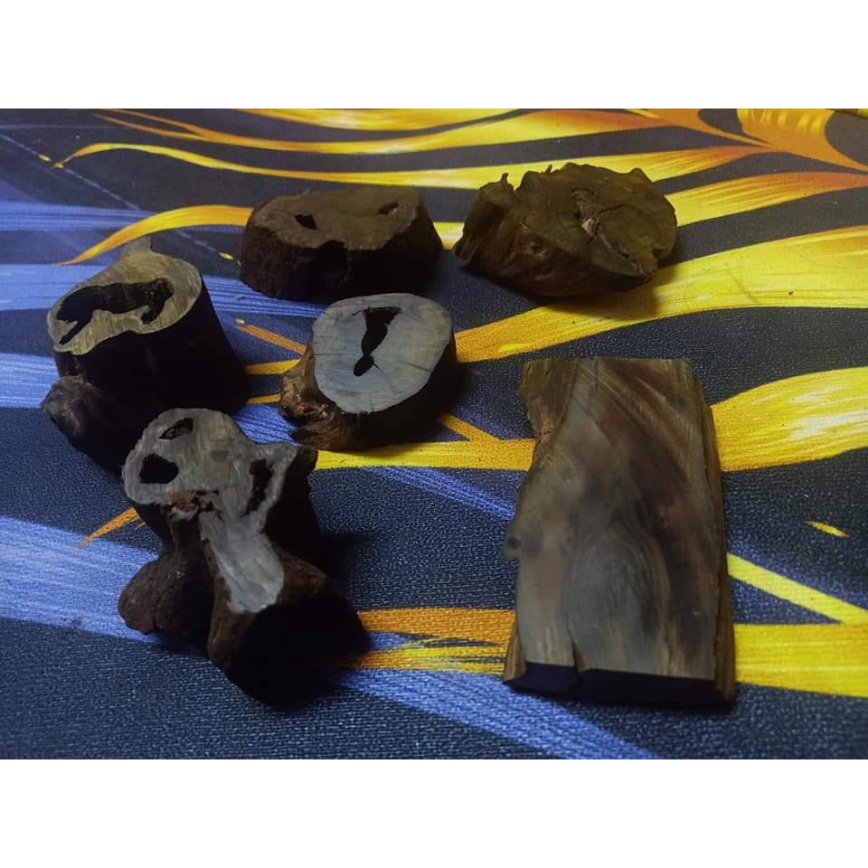 Teras kemuning hitam penawar alami | Shopee Malaysia