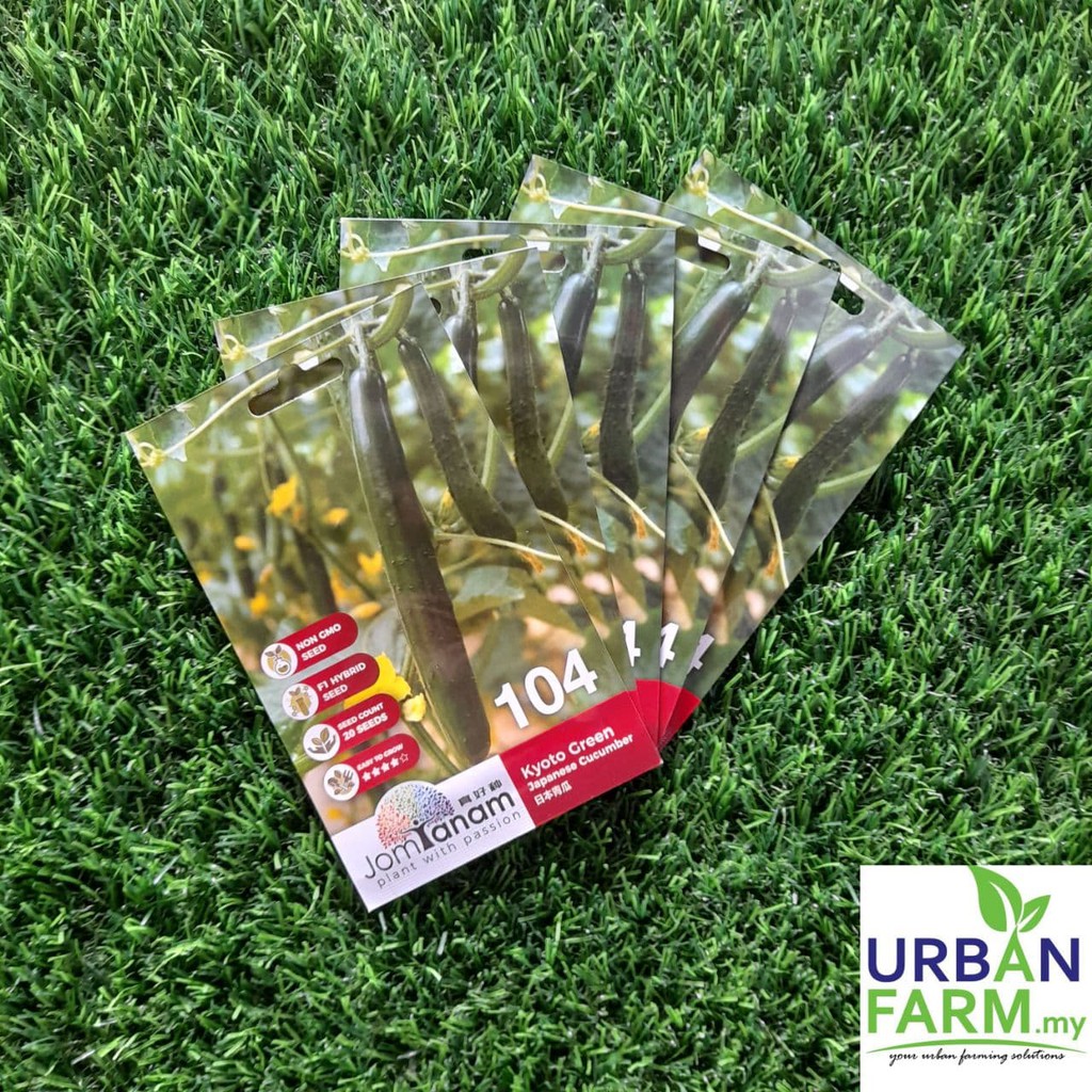 CROP POWER Jom Tanam Timun Jepun Kyoto Green Japanese Cucumber (104) 20 ...