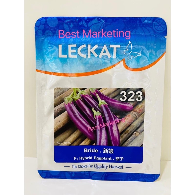 10G 323 TERUNG PENDEK LECKAT/ Bride | Shopee Malaysia