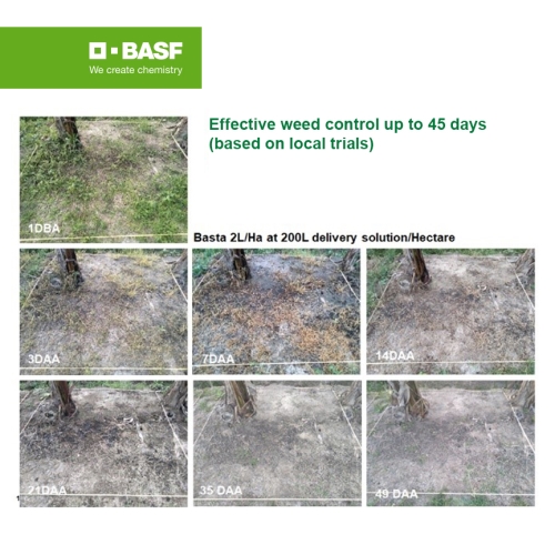 5L Basta 15 Bayer BASF Glufosinate Ammonium 13.5% Herbicide Racun ...