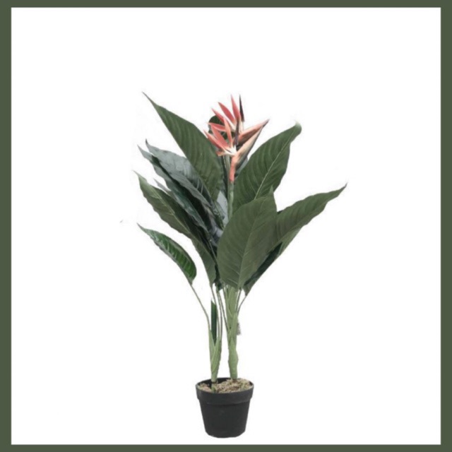 ( READY STOCK ) Pokok Hiasan Sepit Udang / Artificial Heliconia Tree ...