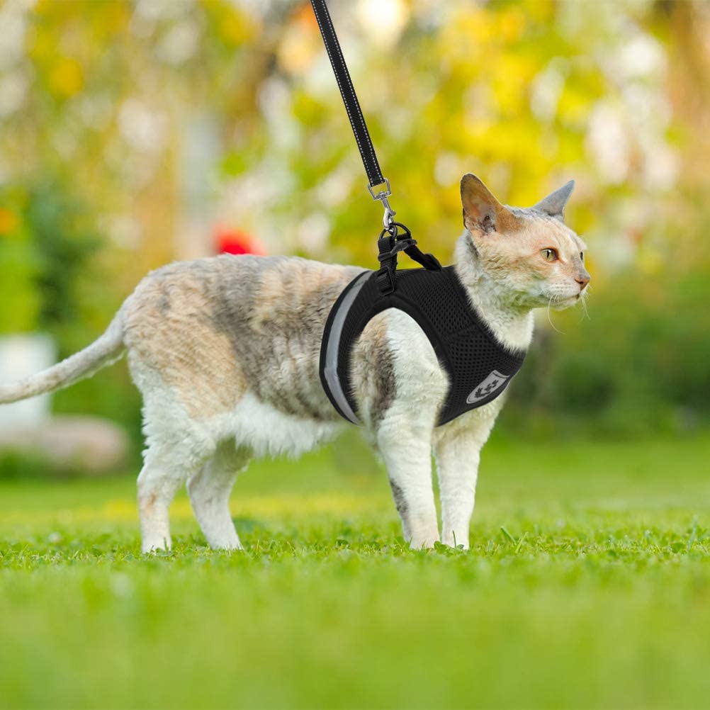Tali Kucing Cat Harness Kucing Pet Collar Harness Vest 2.0 with Leash ...