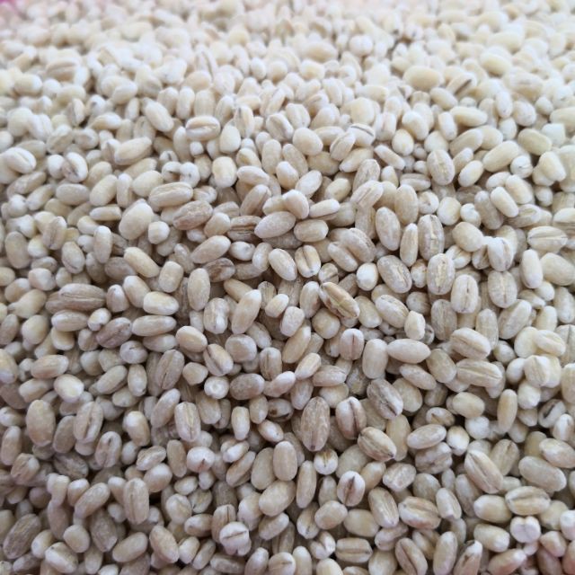 BARLI 500G/ BARLEY HOLLAND 500G(POP) | Shopee Malaysia