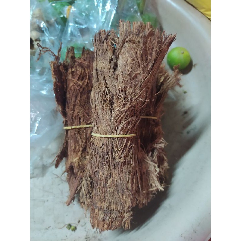 3 Ikat Akar beluru/Akar sintok | Shopee Malaysia