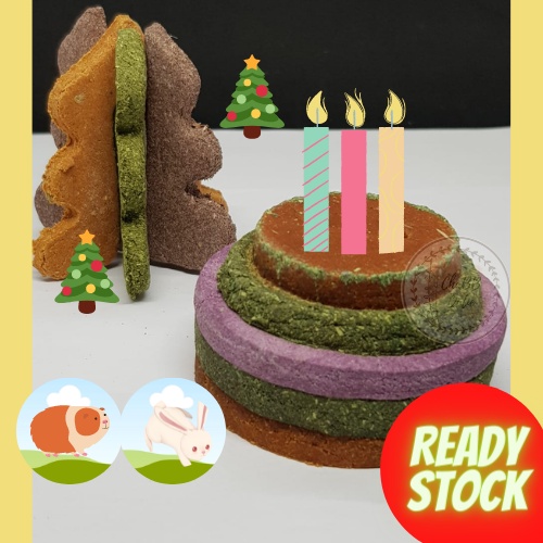 Molar Grass Snack Christmas Tree/ Birthday Grass Cake(READY STOCK ...
