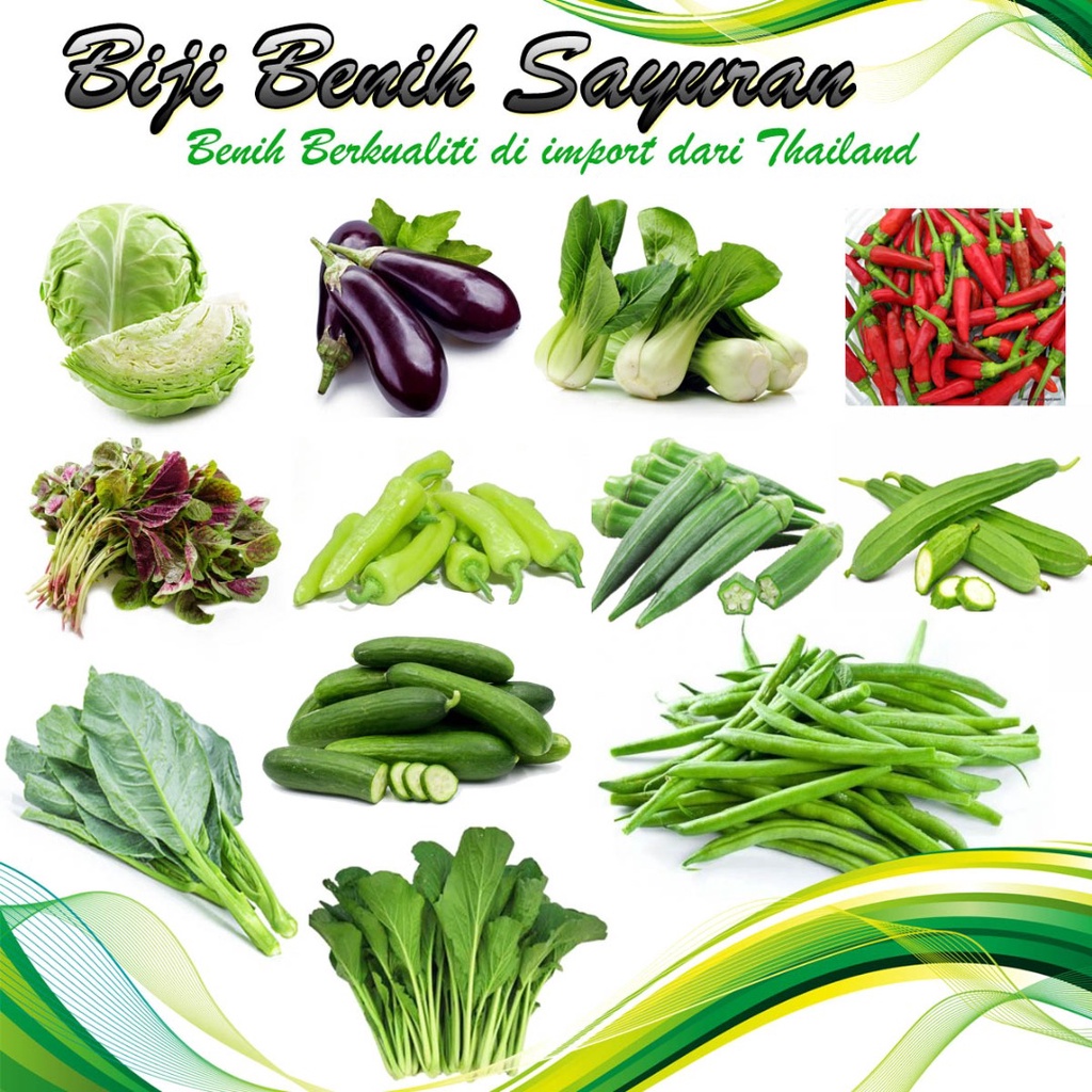 BIJI BENIH SAYUR-SAYURAN( Made in Thailand) | Shopee Malaysia