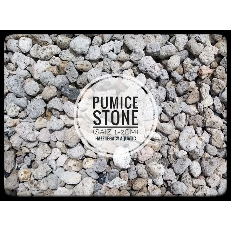 FREE MEDIA NET!! Pumice Stone AKA Seachem Matrix Filter Media Aquarium ...