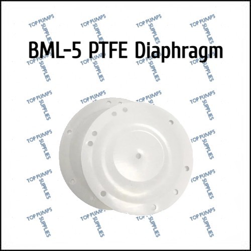 BML-5 Single Way Diaphragm Pump, Diaphragm PTFE | Shopee Malaysia