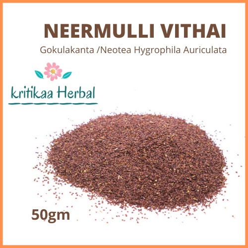 NEERMULLI VITHAI | GOKILAKSHA | HYGROPHILA AURICULATA - 50G | Shopee ...