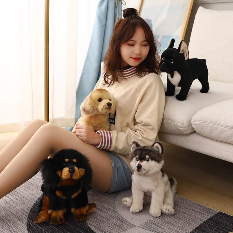 Premium COTTON DOGS OF ALL KINDS OF LIFE LIKE REAL (38cm) | Shopee Malaysia