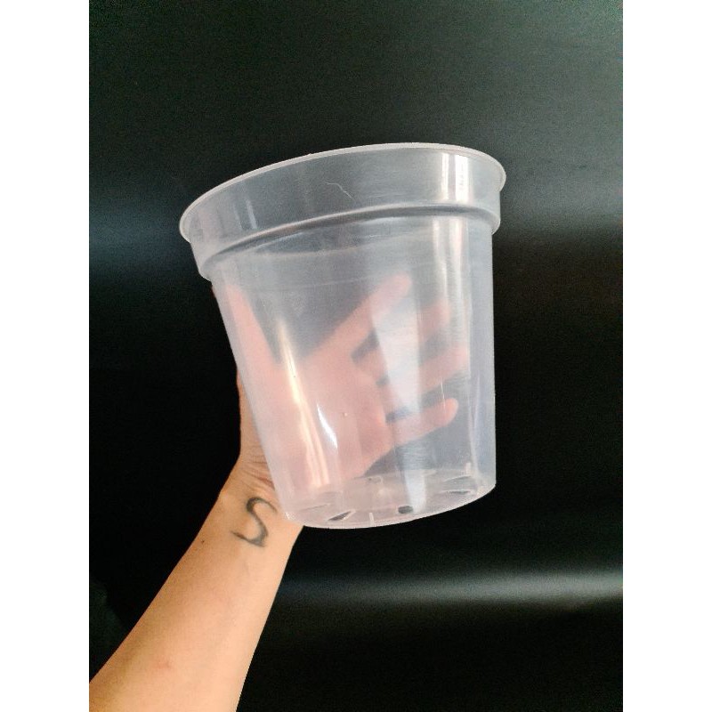 READY STOCK transparent pot clear pot 150 | Shopee Malaysia