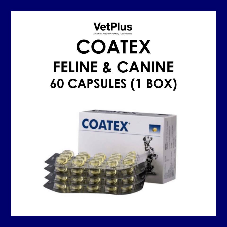 (EXP: 02/2026) COATEX /Skin Supplement for Pets (60 capsules) | Shopee ...