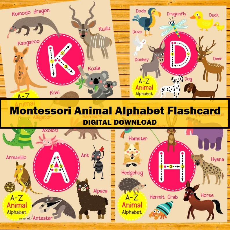 [413] Montessori Animal Alphabet Flashcards Preschool Kindergarten ...