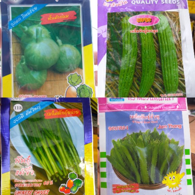 Biji benih sayur-sayuran. Made in Thailand | Shopee Malaysia