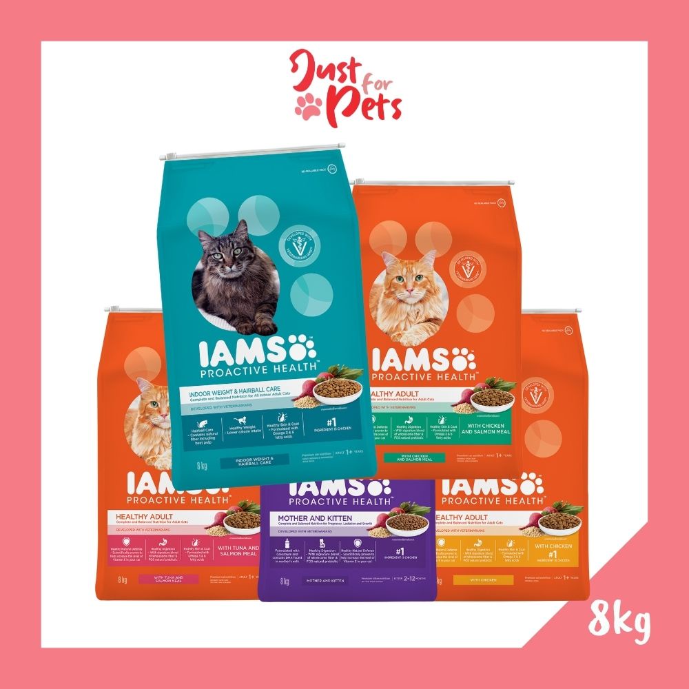 IAMS 8kg Dry Cat Food [kitten / tuna salmon / indoor / chicken ...