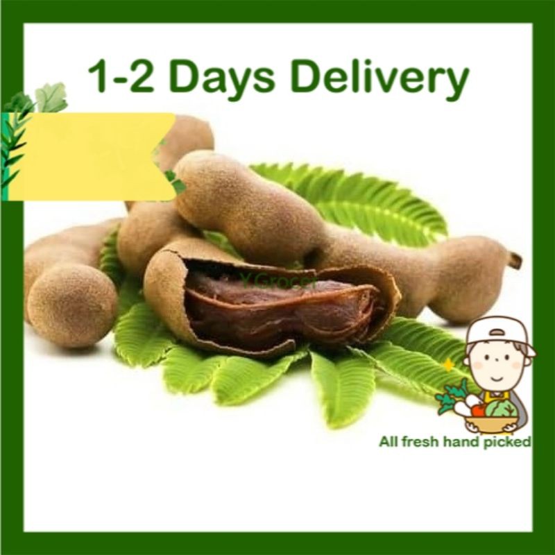 Fresh Daun Asam Jawa Segar 阿三叶 100g | Shopee Malaysia