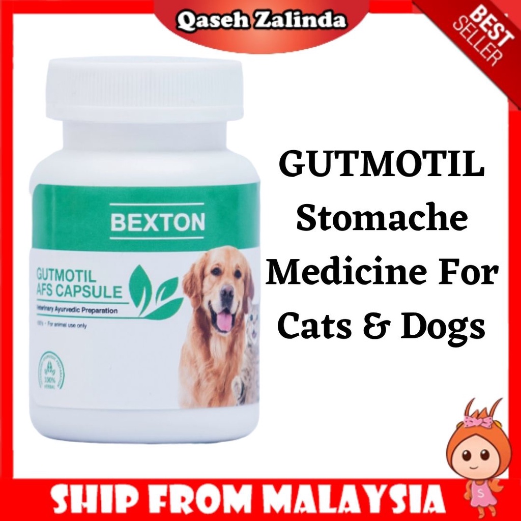 Gutmotil Capsule Stomache Medicine For Cat Dog (Cirit-Birit) | Shopee ...