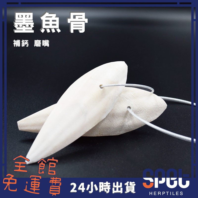 Cuttlefish Bone Octopus Shell Natural Unbleached Bird Snack Powder ...