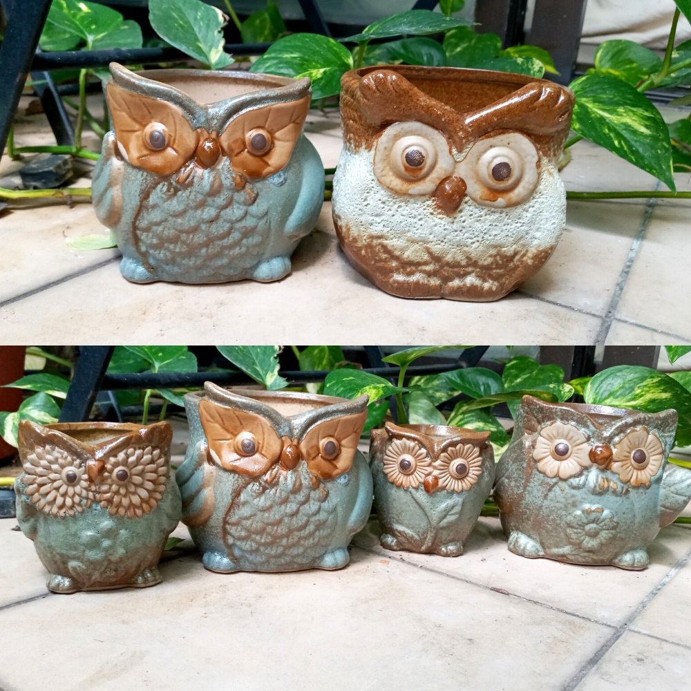 Owl Ceramic Small Plant Pot For Cactus Succulent Flower Decoration Pasu ...