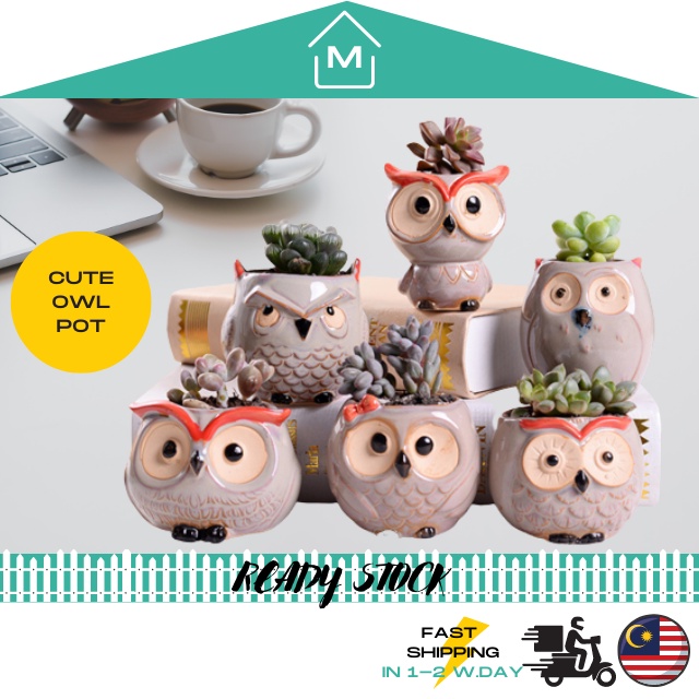 [MINI] Owl Design Ceramic Succulent Cactus Plant Flower Pot Home Deco ...