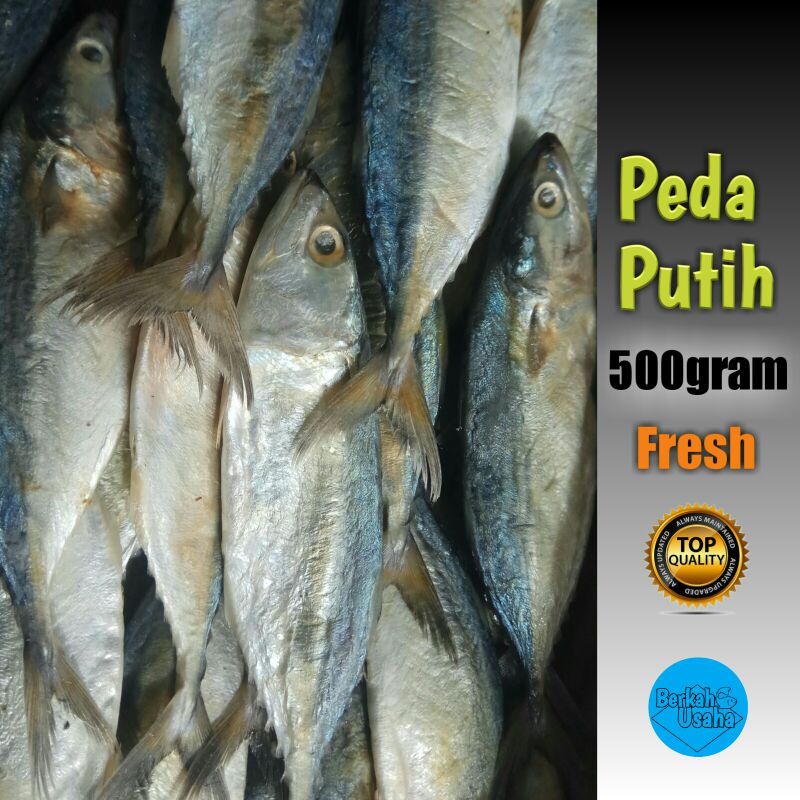 MERAH PUTIH White PEDA Salted Fish 500GRAM White PEDA Fish Salted Fish ...