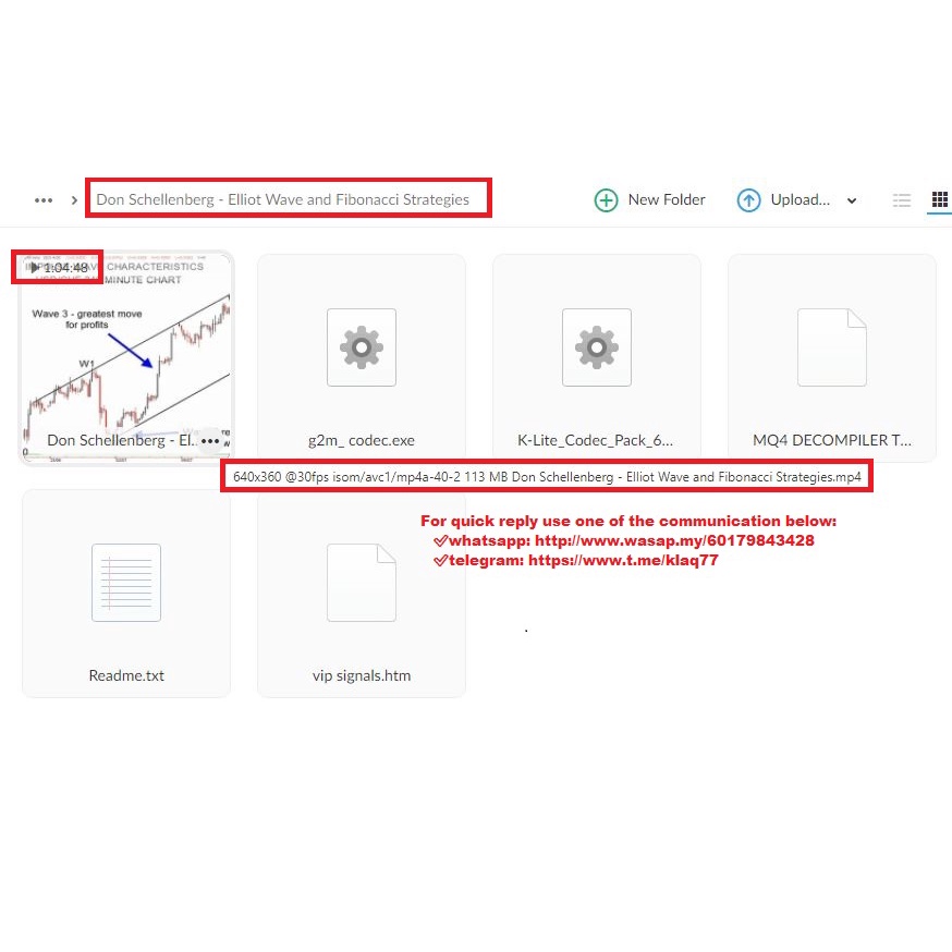Don Schellenberg - Elliot Wave and Fibonacci Strategies (Total size ...