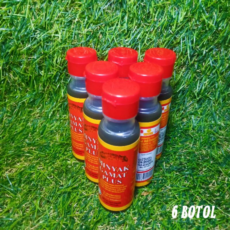 MINYAK GAMAT PLUS SHAARI 💯 GAMAT ASLI LANGKAWI | Shopee Malaysia