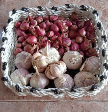 Onion place | Shopee Malaysia