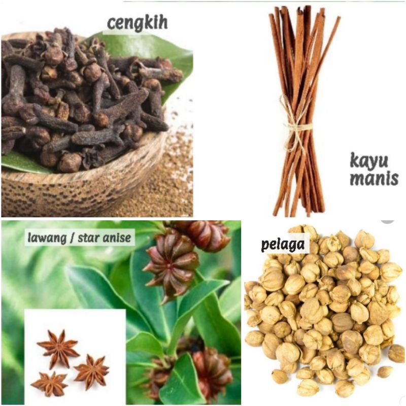 Pokok Bunga Lawang Star Anise cengkih kayu manis cinnamon pelaga thai ...
