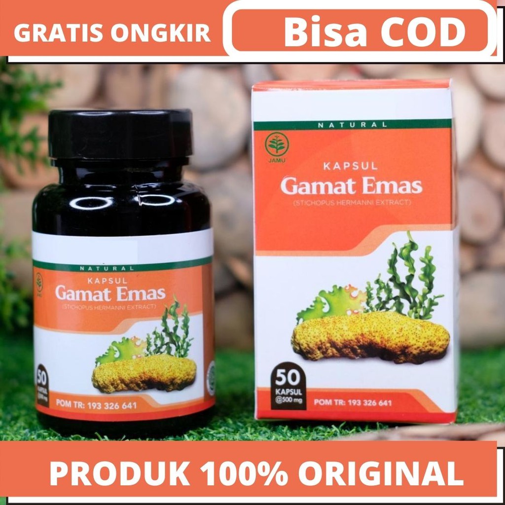 Herbal Medicine Gamat Gold Capsules Extract 100% Original Gold Braids ...