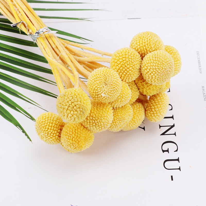 Natural Dried Flower Yellow Ball Golden Ball Yellow Flowers Araangment ...
