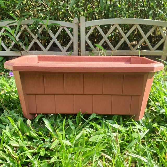 🔥[READYSTOCK]🔥 PASU BESAR/LONG TRAY POT 34cm x 18cm | Shopee Malaysia