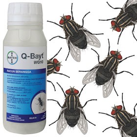 (Pest Control) Bayer Q Bayt WG10 Flies 250gm Ubat Lalat | Shopee Malaysia