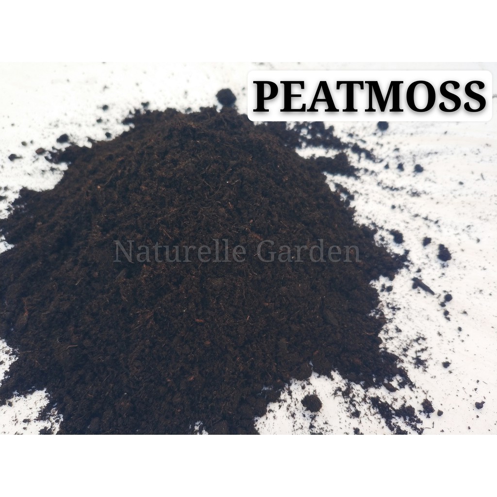 Peat Moss Tanah Semaian Peatmoss 2kgs Tanah Tanaman Organik Soil Seed ...