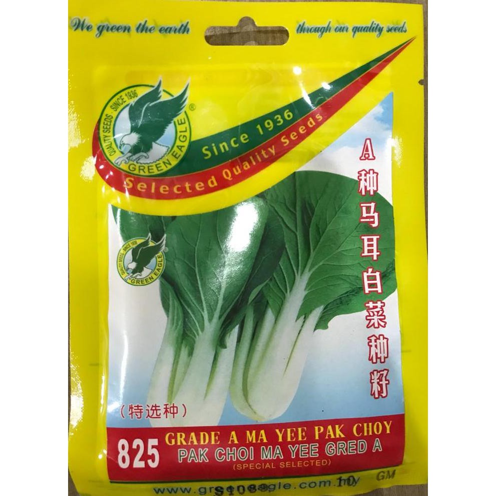 825 GRADE A MA YEE PAK CHOY | Shopee Malaysia