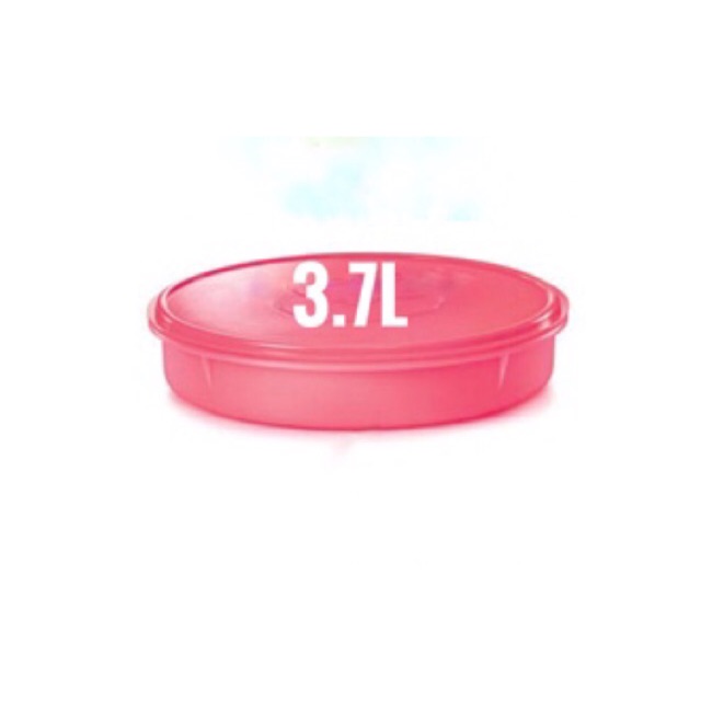 Take a Lot Small 3.7L Tupperware | Shopee Malaysia