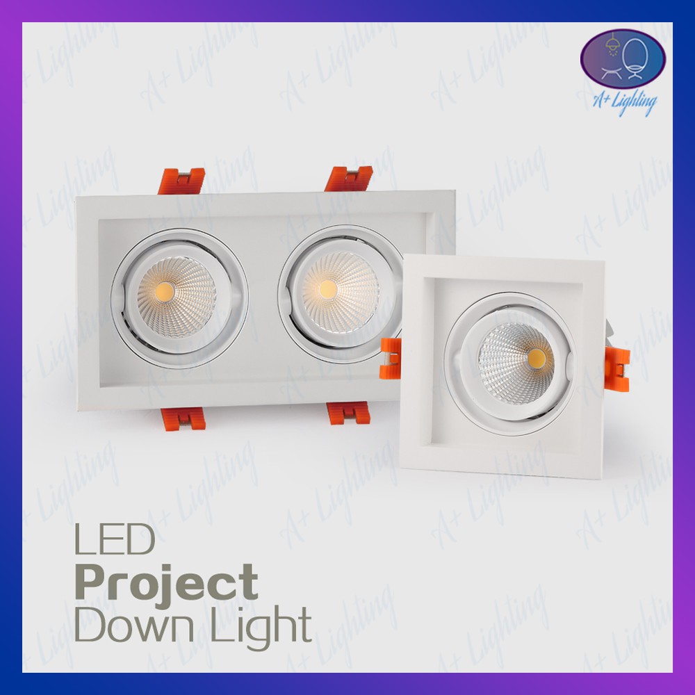 TWO HEAD/THREE HEAD LED COB EYEBALL DOWNLIGHT EYE BALL TWO HEAD 2X5W ...