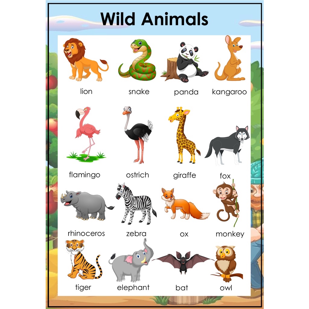 Laminated Wild Animals Educational Chart for Kids | Shopee Malaysia