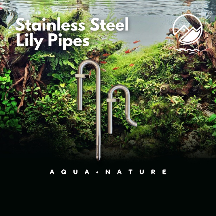 Premium Quality Stainless Steel Lily Pipes Set (Inflow & Outflow ...