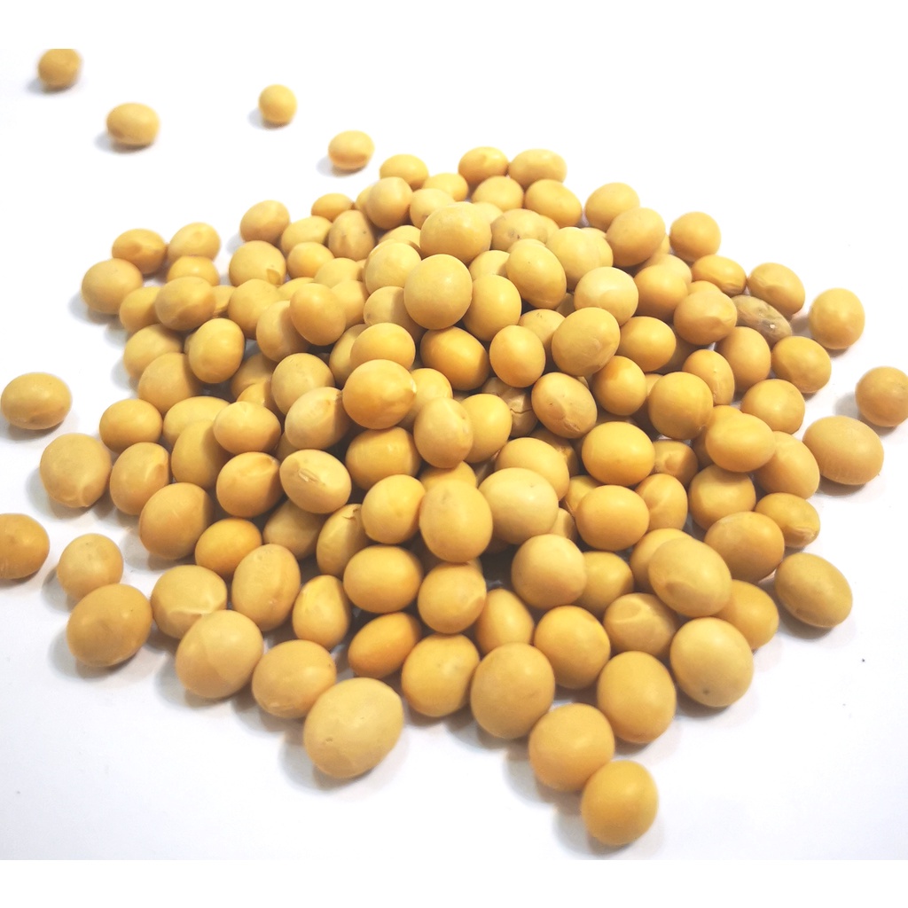 KACANG SOYA 500GM / SOYA BEAN | Shopee Malaysia