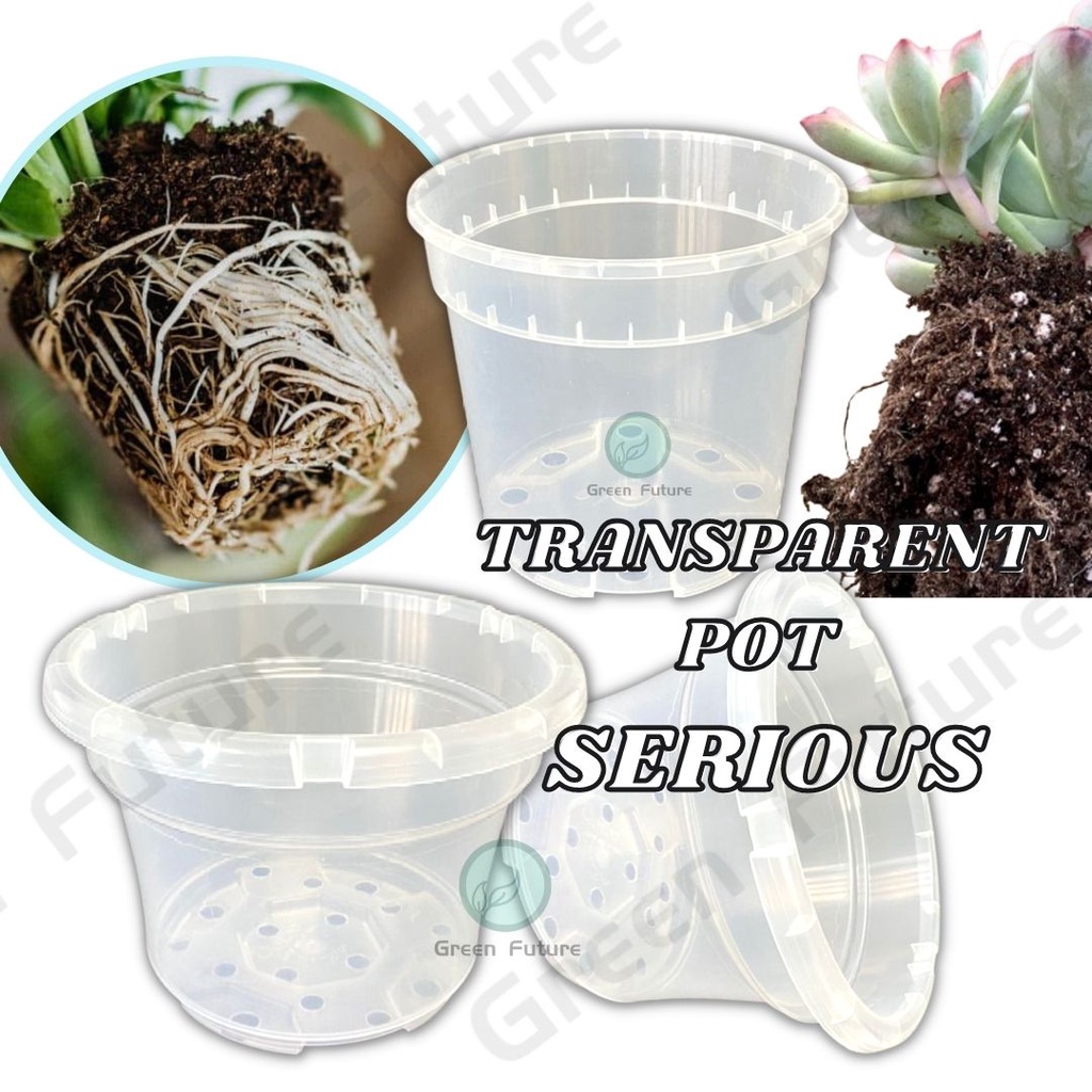 Octo Transparent Flower Pot Hydroponics Orchid 透明花盆 花盆 绿植花盆 Transparan ...