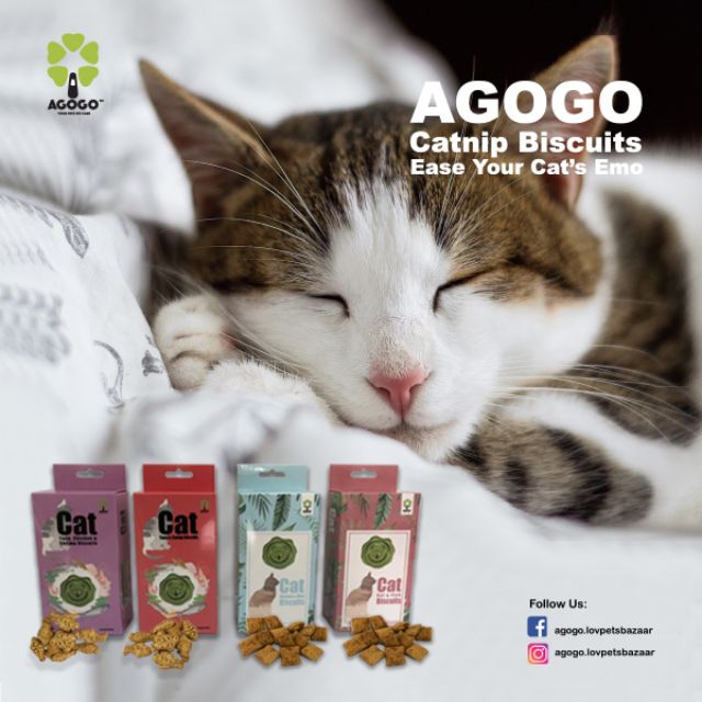 AGOGO CATNIP BISCUIT ( 4 FLAVOURS) | Shopee Malaysia