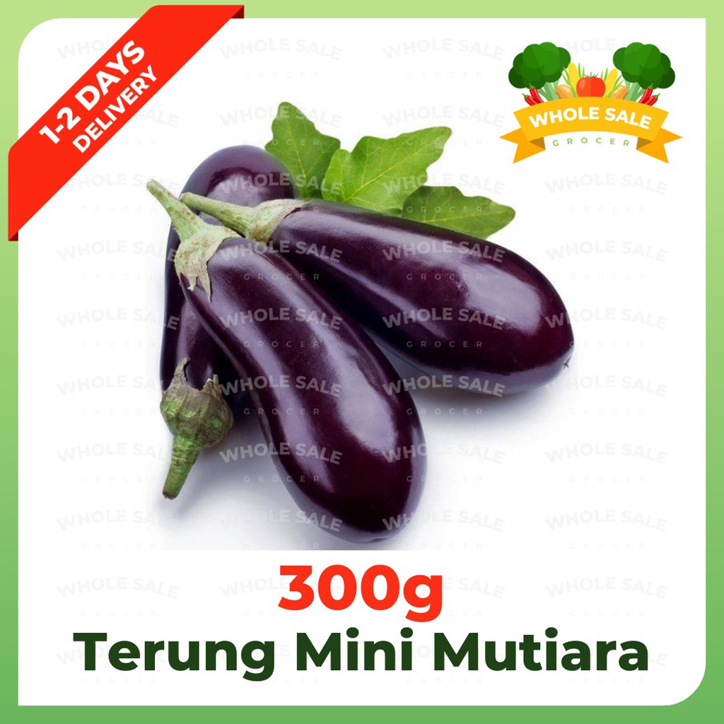 Eggplant Terung / Terung Mini Mutiara | 小珍珠 茄子 (300G) | Shopee Malaysia