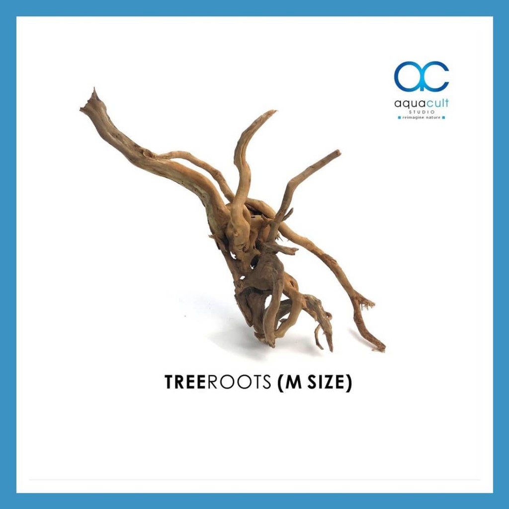 Tree Roots M Size(Aquascape/Aquatic/Wood/Root/Vivarium/Paludarium ...