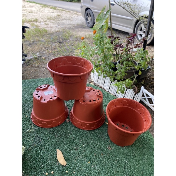 PASU PUTIH EMPAT SEGI 11cm x 11cm / PASU BUNGA SAIZ POKOK SEMAIAN ...