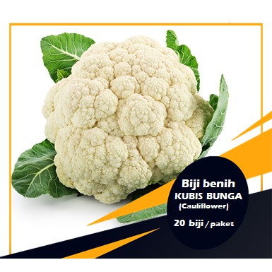 Biji Benih Kobis Bunga (Kubis Bunga) / Cauliflower seeds | Shopee Malaysia
