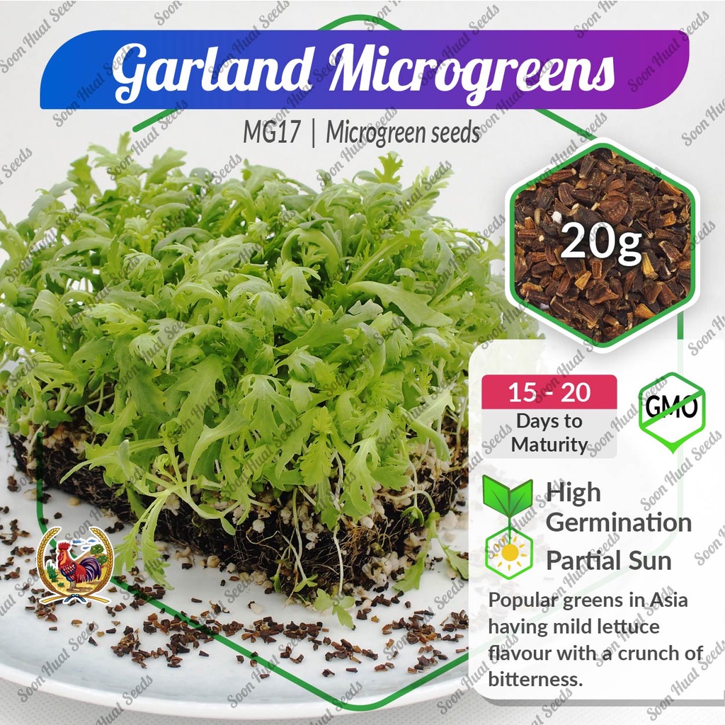 Benih Microgreen Seeds 20g Garland Shingiku 茼蒿 Soon Huat Seeds | Shopee ...