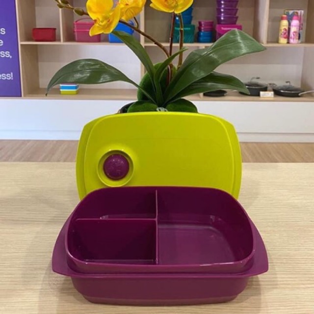 TUPPERWARE Reheatable Divided Lunch Box 1.0L (1) | Shopee Malaysia