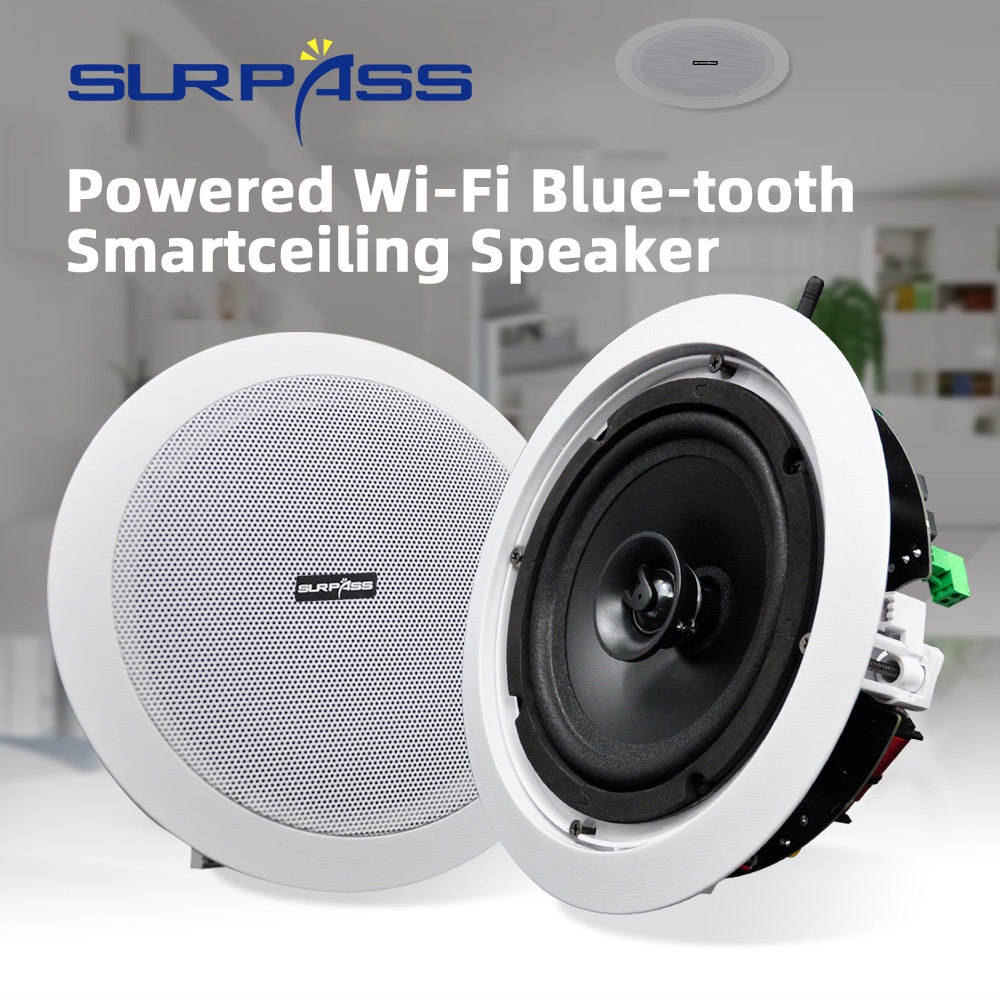 WF660 Home WiFi Ceiling Speaker 6inch 30W Bluetooth in Ceiling Speaker ...